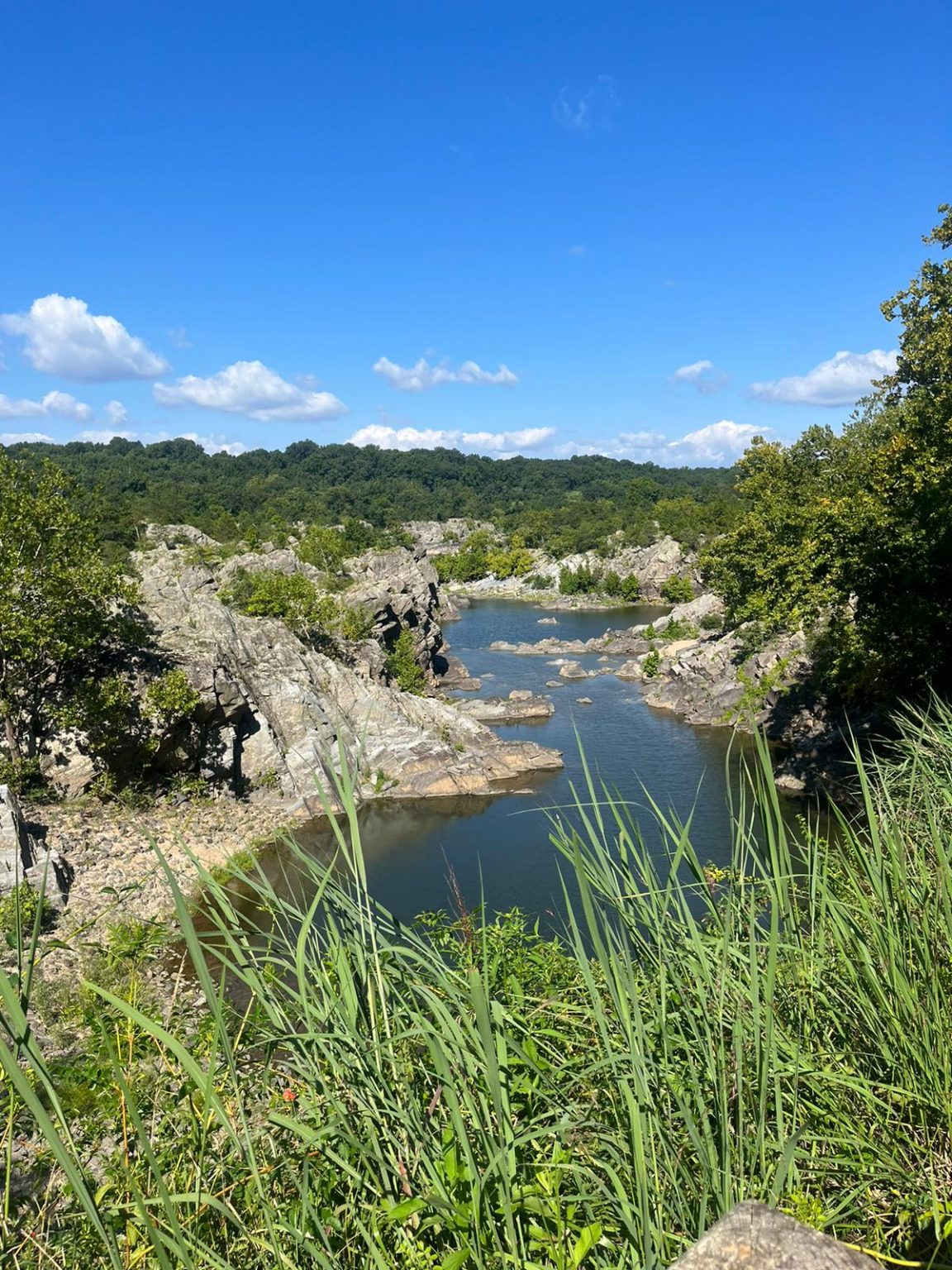 Friday Lab Hike - Serre Lab