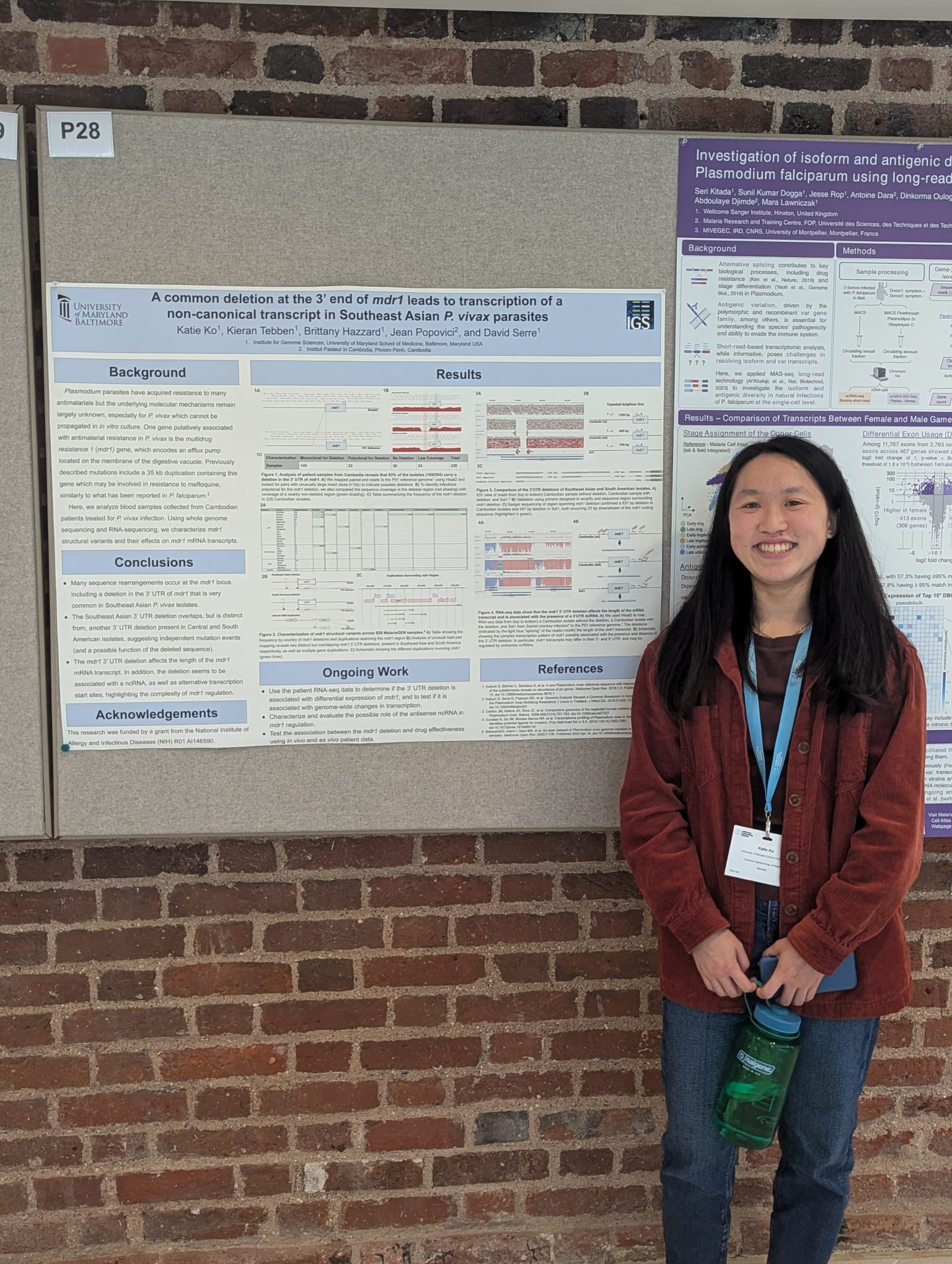 Genomic Epidemiology of Malaria 2024 - Serre Lab